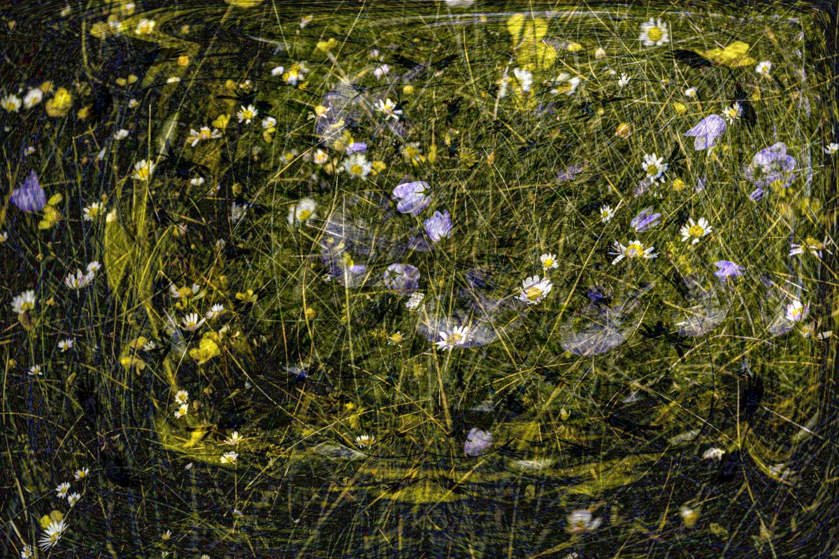 Expressionist Photography by Valda Bailey