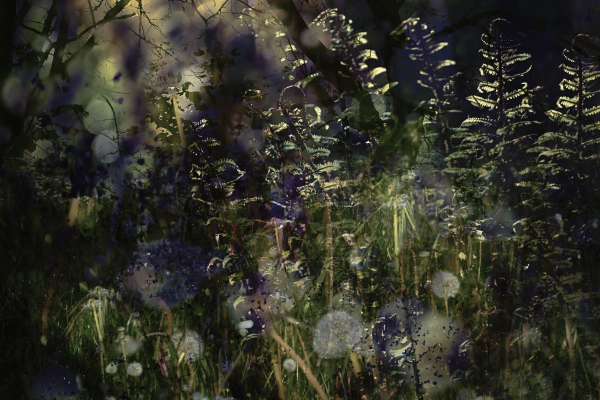 Expressionist Photography by Valda Bailey